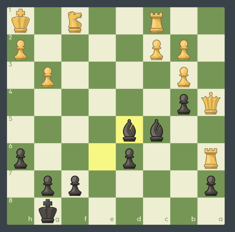 Checkmate! – Chess Visionaries